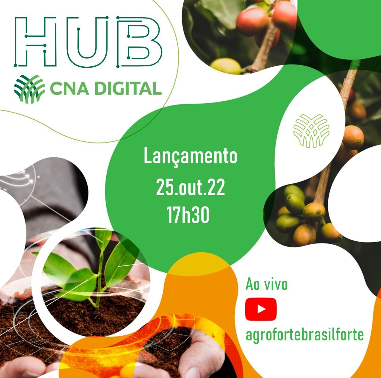 Lançamento HUB CNA Digital – P&D Brasil